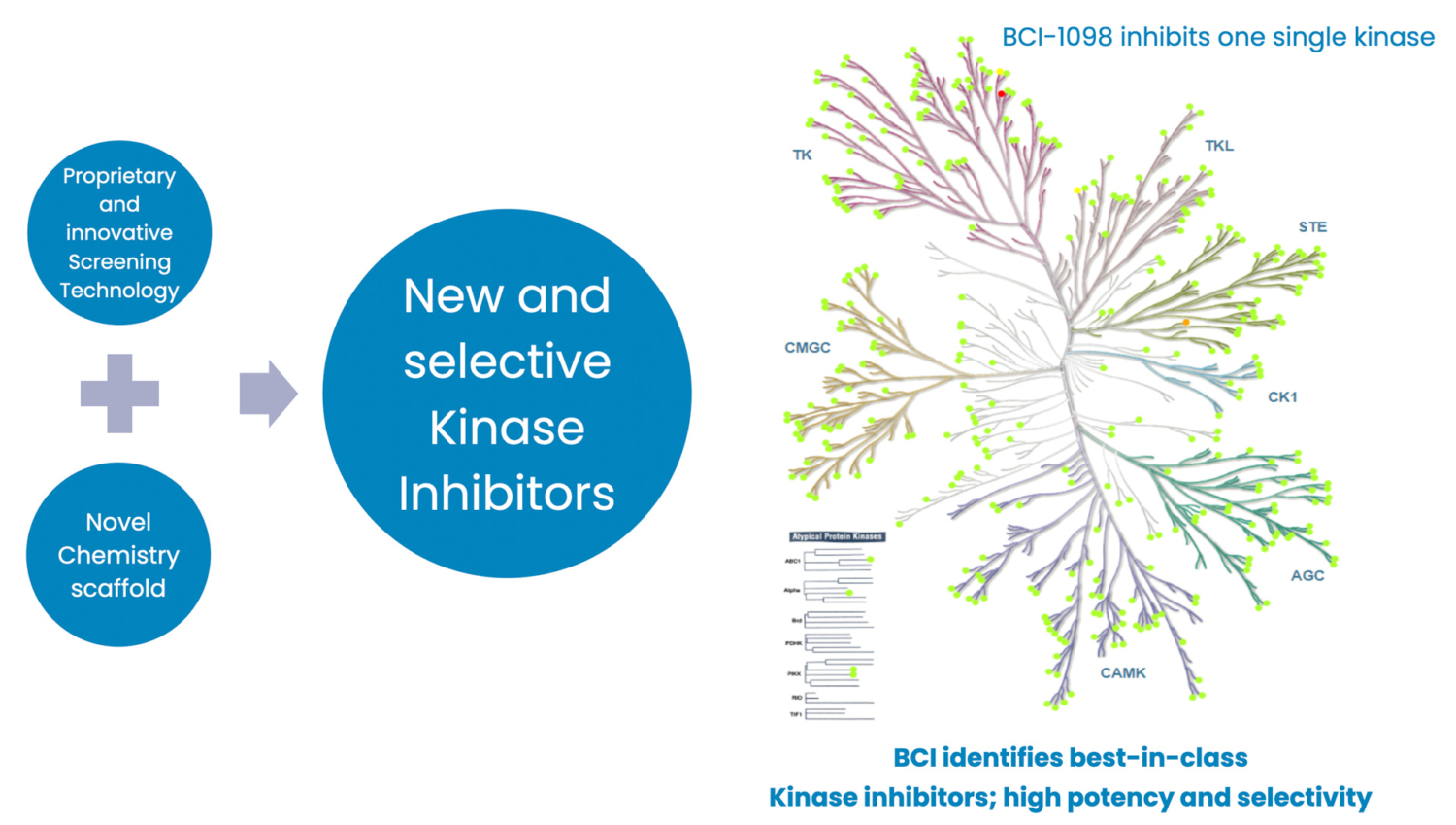 Kinase inhibitor platform • BCI PHARMA